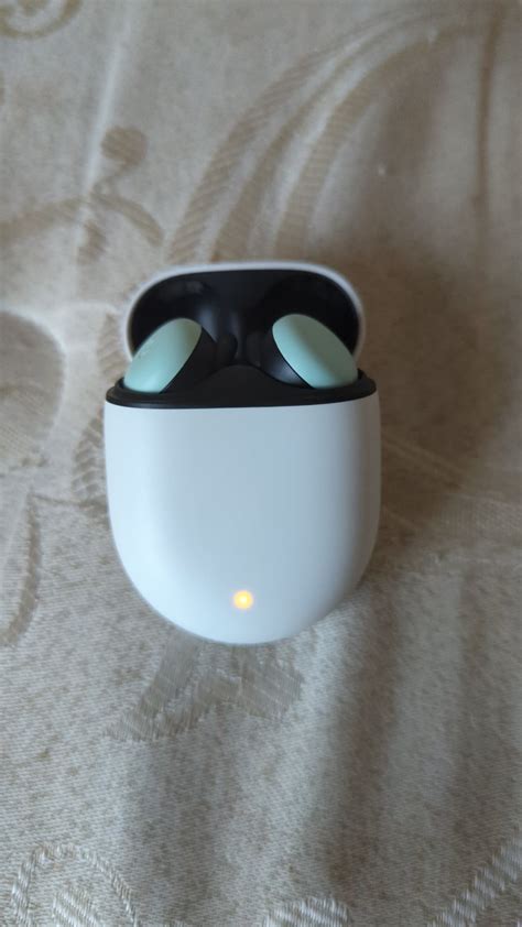 Can Any One Help I Think These Are Fake Rpixelbuds