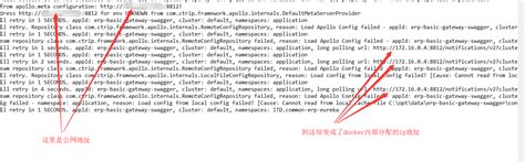 使用idoop部署docker版本apollo以后，无法获取到config真实ip · Issue 1938 · Apolloconfigapollo · Github