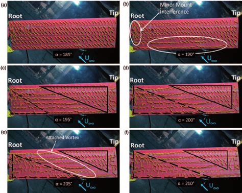 Flow Visualization At Download Scientific Diagram