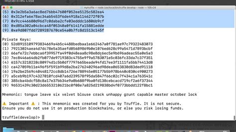 45 Truffle Framework And Web3js Accounts And Get Balance Youtube