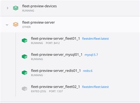 Fleetctl Preview Stops Working After Allowing Automatic Docker Desktop Update To Install