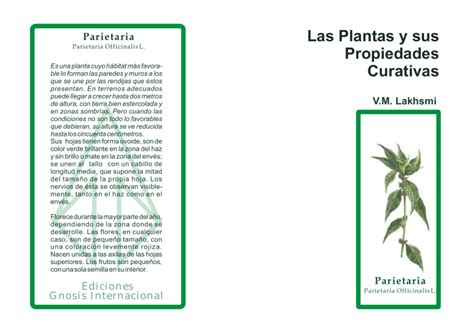 Las Plantas Y Sus Propiedades Curativas 1