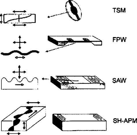 Figure 1 1 From Design And Development Of Flexural Plate Wave Biosensors Semantic Scholar