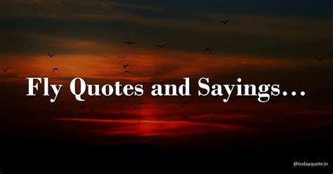 161 Inspirational Fly Quotes About Life To Help Spirit Soar