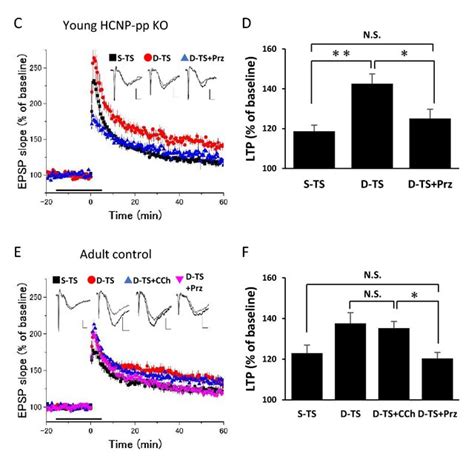 The Involvement Of Cholinergic Dysfunction Via The M1 Receptor Signal Download Scientific