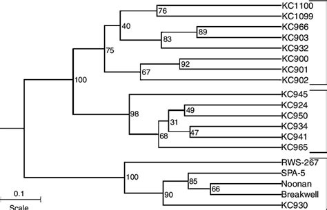 Dendrogram Based On Dna Profiles Of A Cross Section Of The Kikuyu Download Scientific Diagram