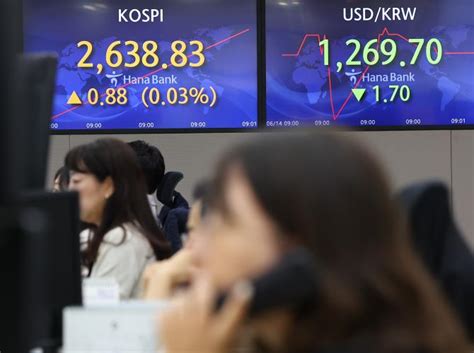 동일산업 등 5개 종목 줄 하한가제2의 Sg 사태 서울특별시 미디어재단 Tbs