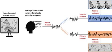 eeg based decoding of selective visual attention in superimposed videos yuanyuan s homepage