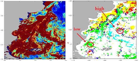 Remote Sensed Information Of Biophysical Processes Characterizing The