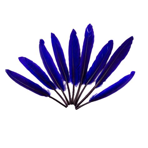 Bulk Duck Feathers By Zucker Feather Products Inc
