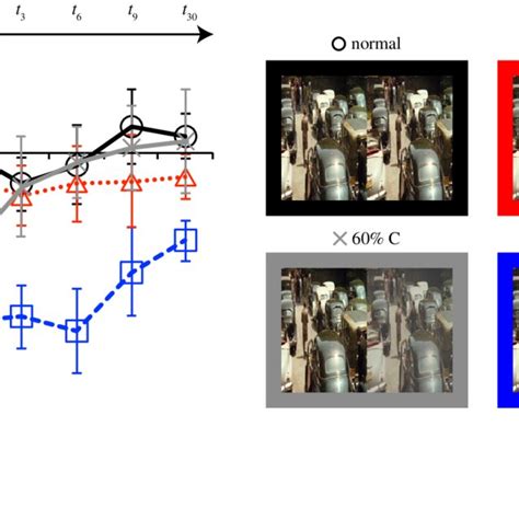 The Effect Of Interocular Differences In Spatial Frequency The Eye