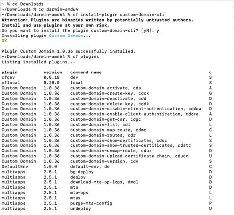 Sap Btp Developer Onboarding V Custom Domains Sap Community