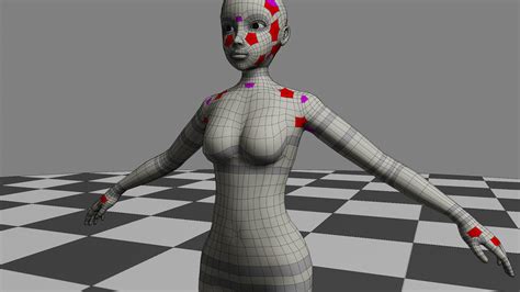 Female Body Topology Grid Blender Market
