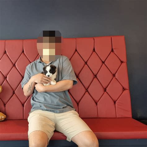 울산 2022 0077 스피츠웰시코기 하나 책임분양 털빠짐없는스코티쉬폴드분양 털빠짐없는러시안블루분양 털빠짐없는강아지분양 털빠짐없는고양이분양 털빠짐없는유기견분양