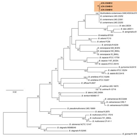 Maximum Likelihood Ml Phylogenetic Tree Based On The General Time