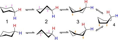 Filecyclohexane Ring Flipsvg Wikimedia Commons