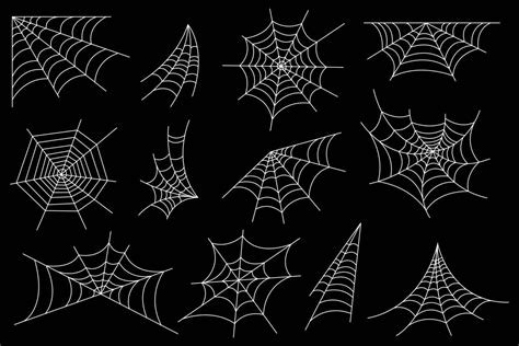 Spiderweb Vector Art Icons And Graphics For Free Download