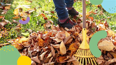 Organic Fruit Tree Pest Management Mehrabyan Nursery