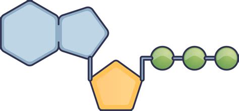 Atp Molecule 3d Animation