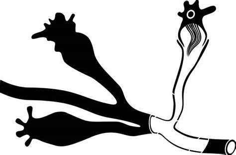 Diagram Of The Excretory System Illustrations Royalty Free Vector Graphics And Clip Art Istock