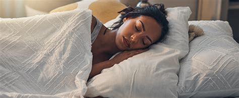 How Much Is Csection For Labrador