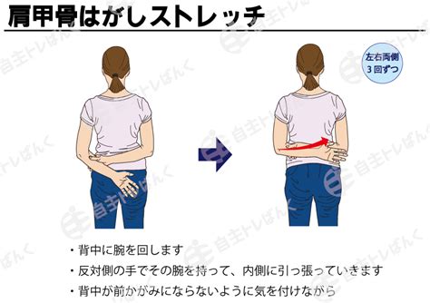 肩甲骨はがしストレッチ 自主トレばんく 筋トレ・ストレッチ・リハビリのイラスト資料