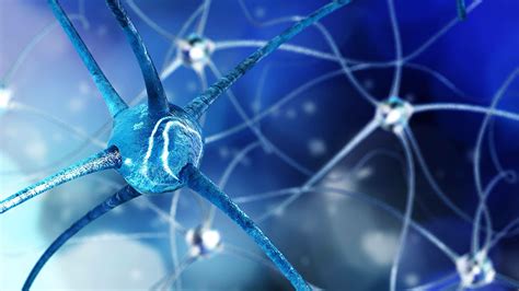 Understand Neurotransmitters Influence Your Emotions For Better Living