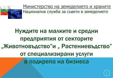 Ppt Министерство на земеделието и храните Национална служба за съвети в земеделието Powerpoint