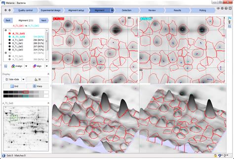 Melanie Classic And Dige Software For 2d Gel Based Expression Analysis