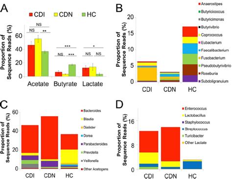 Acetate Butyrate And Lactate Fermenters In The Gut Microbiota A Download Scientific