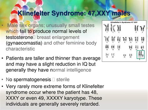 Ppt Exploring Chromosome Anomalies In Genetics Powerpoint