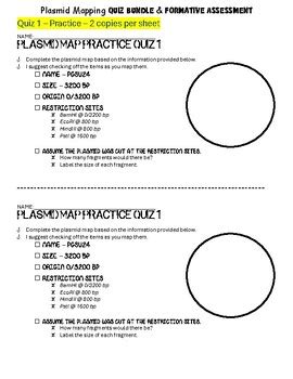 Plasmid Mapping Assessments Total By Perry Hyde TPT