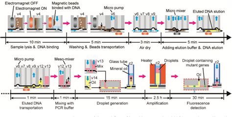 Figure 1 From Recent Advances In Magnetically Actuated Droplet