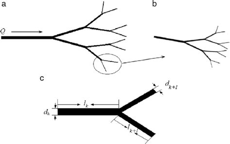 Schematic Of Self Similar Branch Structure The Tree Like Spatial