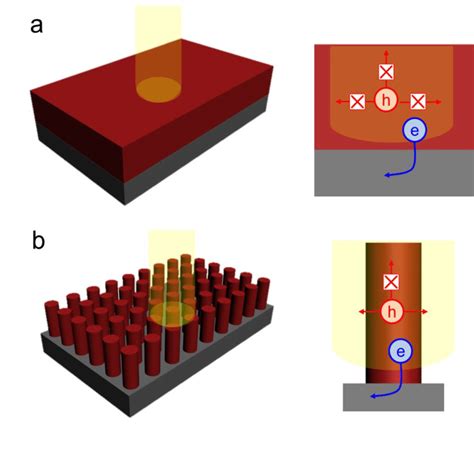 2 Schematic Illustration Of The Different Diffusion Patterns Of Download Scientific Diagram