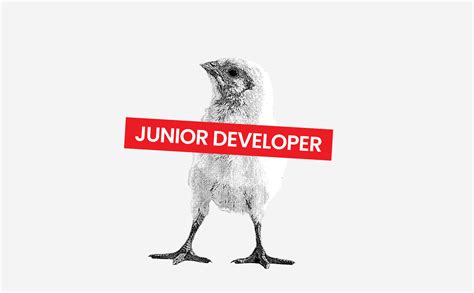 How Developer Seniority Level Matters To Software Development Cost