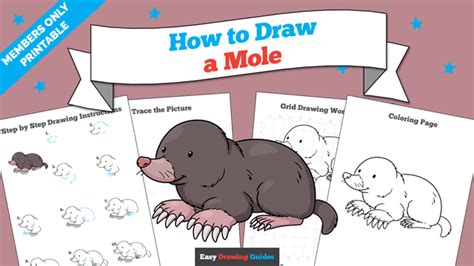 How To Draw A Mole Really Easy Drawing Tutorial