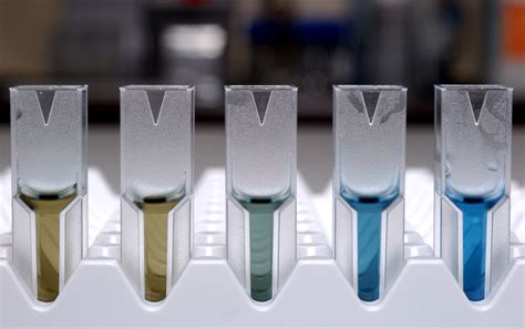 Principle Of Lowry Assay At Angela Bates Blog