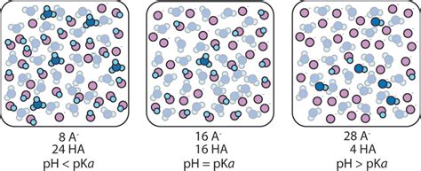 Predicting The Ph Of A Buffer
