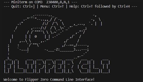 Getting Ansi Colors In The Vscode Terminal Rvscode