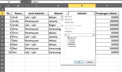 Cara Memfilter Data Di Excel Berdasarkan Kategori Lalu Membuatkan Tabel Baru Blog Pribadi