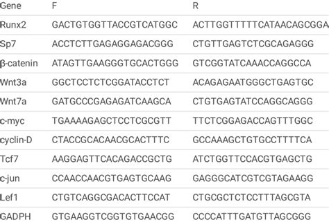 the gene sequence of the runx2 sp7 β catenin wnt3a wnt7a c myc