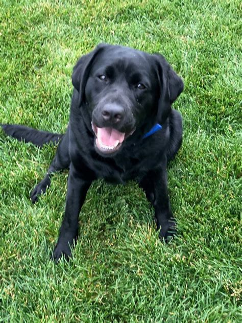 Thank You For Supporting The Circuitpython Show • Buttondown