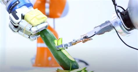 Research Deformable Objects ‒ Lasa ‐ Epfl