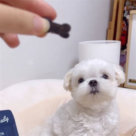 닥터랏츠 닥터랏츠로 시작하는 아침 ☀️ 새로운 한 주 건강하게 시작하세요 🌟 기능성 원료로 꼼꼼하게 배합된 닥터랏츠 🧪