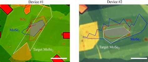 Optical Image Of Device 1 And 2 The Target Mose2 Monolayer White And Download Scientific