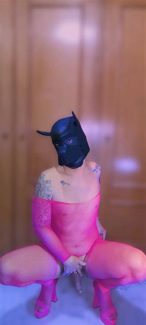 Sissy Crossdresser Shemale Porn Pics Nude Trans In Free Sex Photos Xhamster