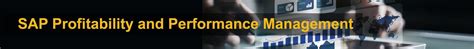 SAP Profitability And Performance Management PaPM PCS Consulting Inc