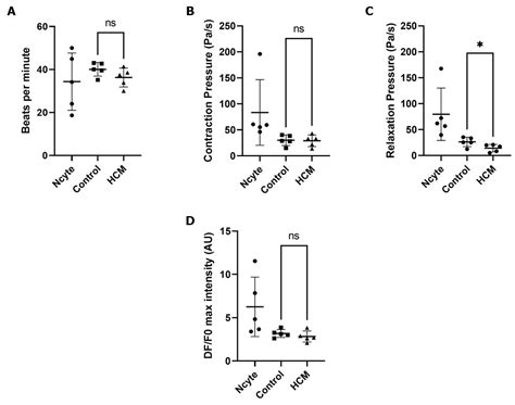Differentiation Maintenance And Contraction Profiling Of Human Induced Pluripotent Stem Cell