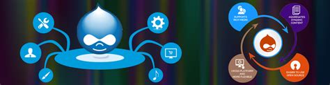 Best Drupal Development Company Services Hire Drupal Web Developer